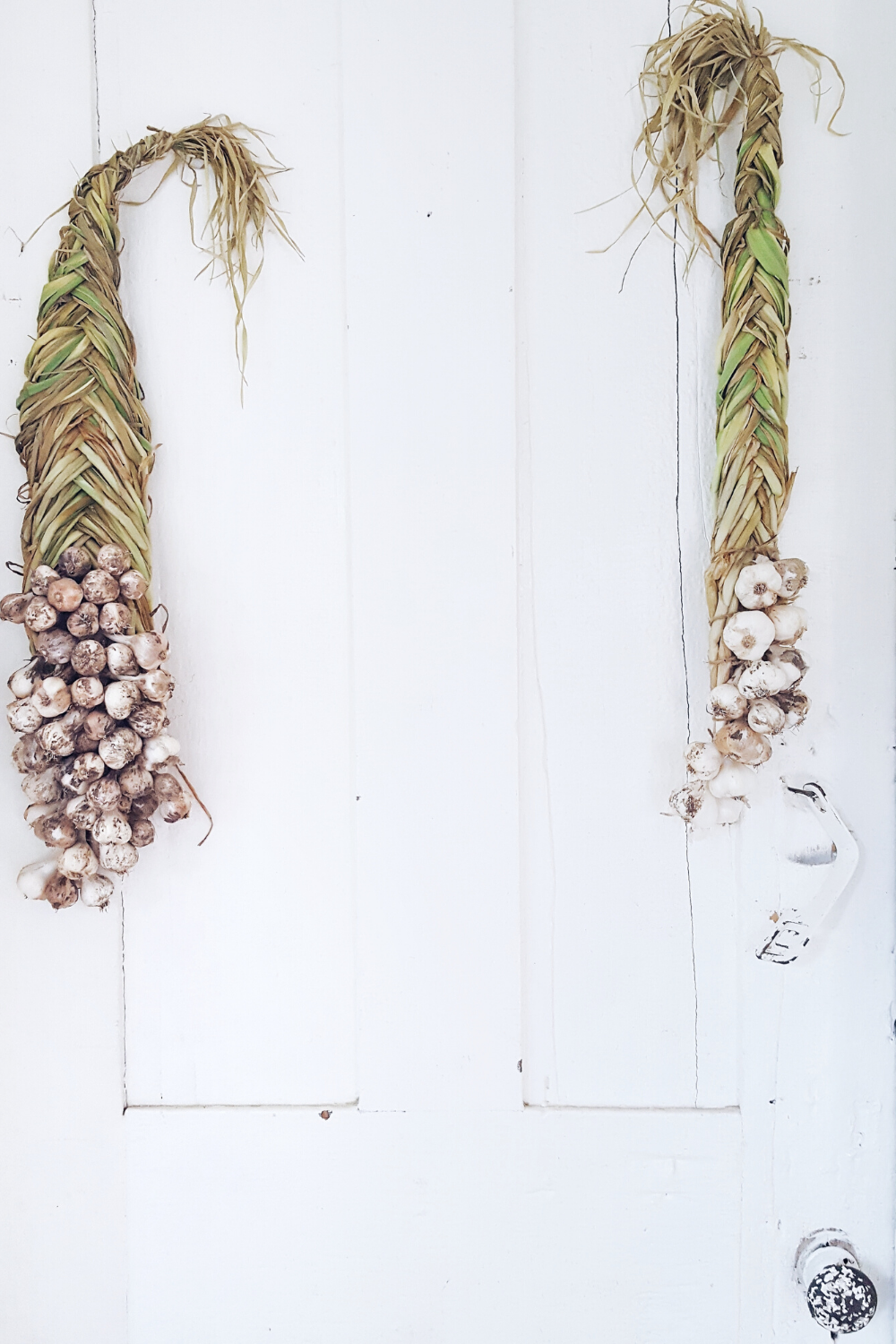 How to Fishtail Braid Hardneck Garlic - This Yellow Farmhouse