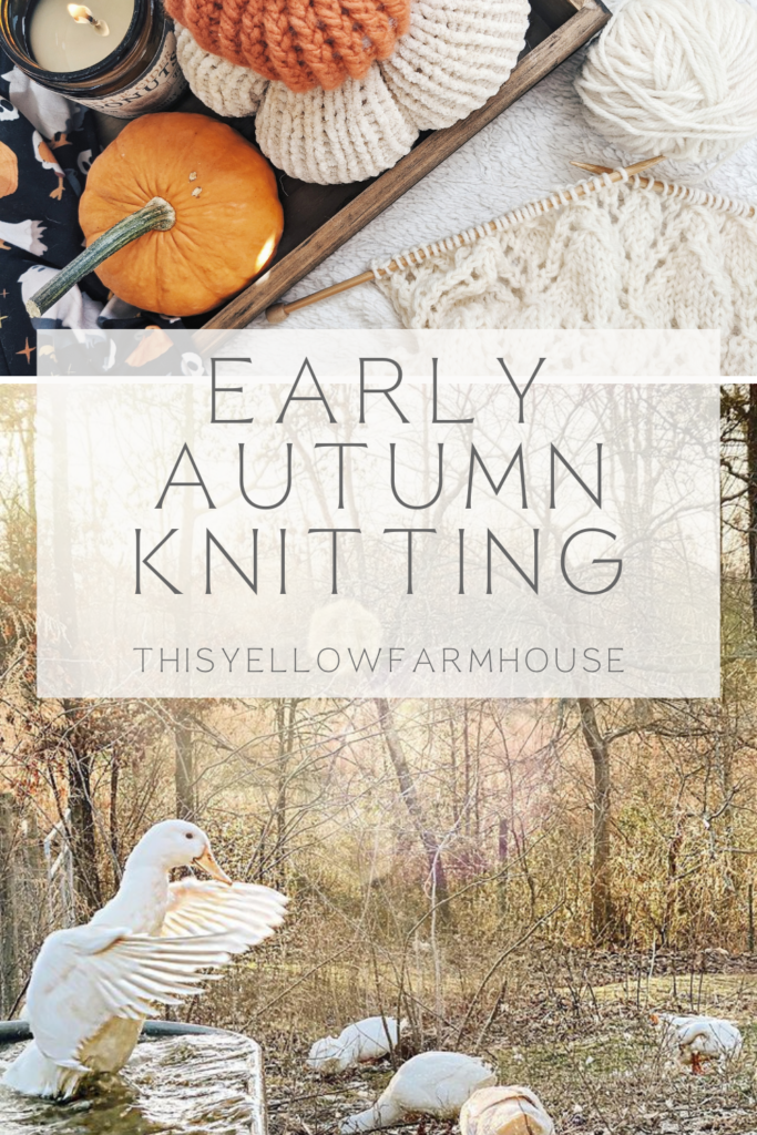 Early Autumn Knitting Plans: Embracing the Cozy Season - this yellow ...